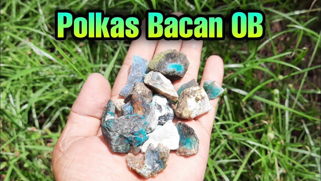 Polkas Bacan Modal OB - YouTube