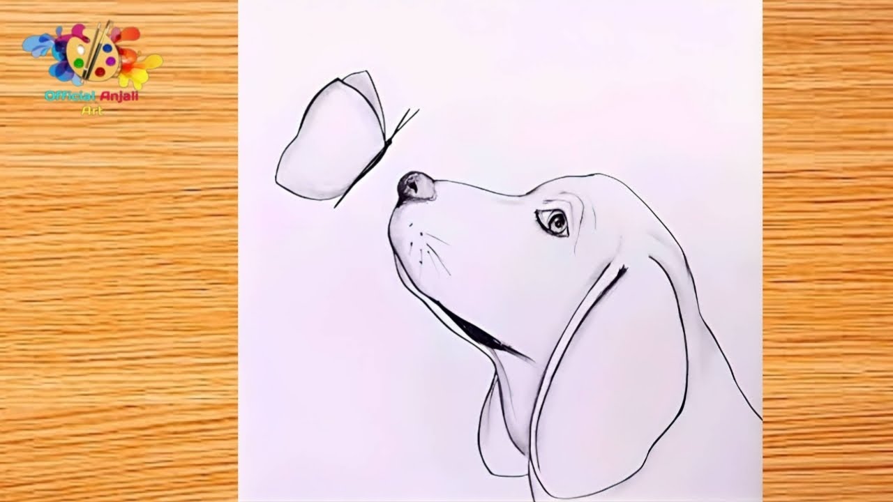 How to draw a cute dog butterfly easy drawing|| very easy pancil sketch ...