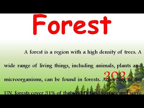 Essay on forest in English 2024 speech on forest in English advantages ...
