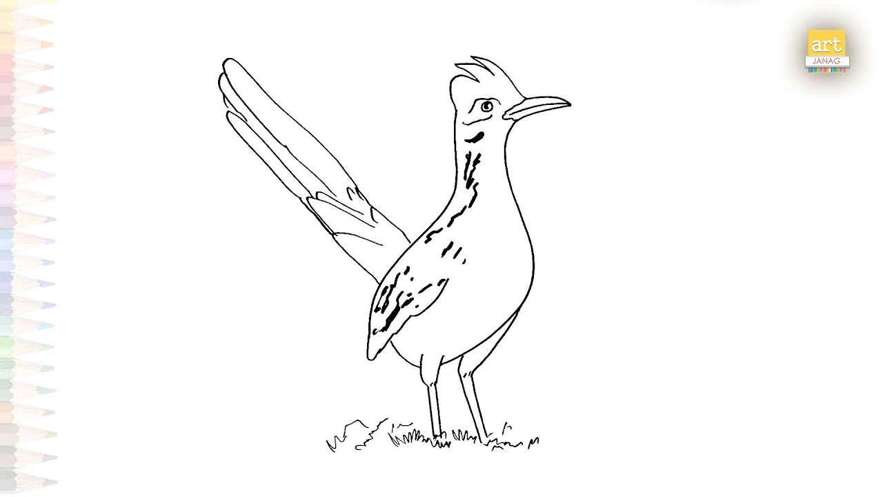 Lesser roadrunner drawing easy | Art tutorial| How to draw Lesser ...