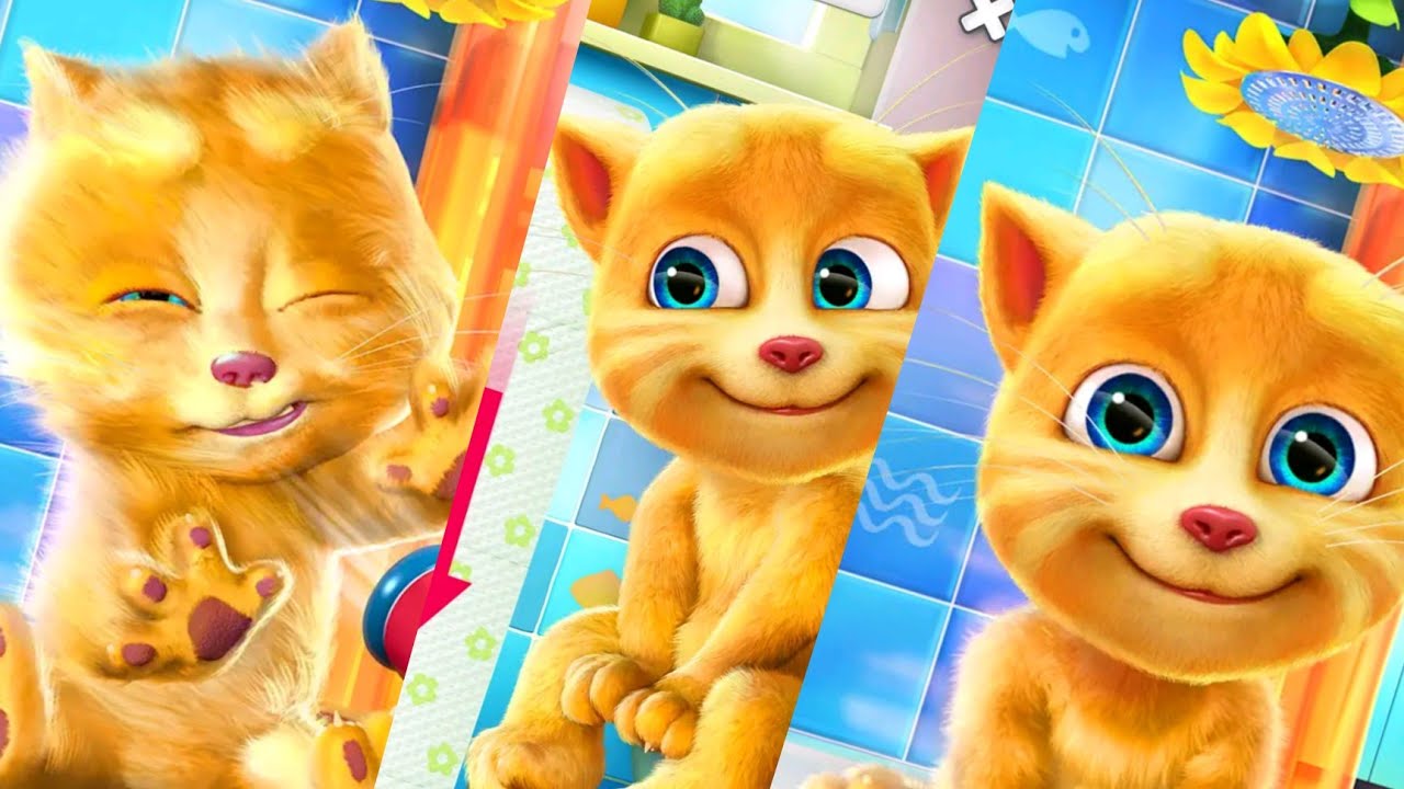 Talking Ginger 2🍎🍍🥭🥥🍑🍌🍏🥪🫔🍟🍔🍕🍋🍉🍓🍒🫐My talking Ginger 😺 🌮🧆🍆 Funny Ginger🍊🍈 ...