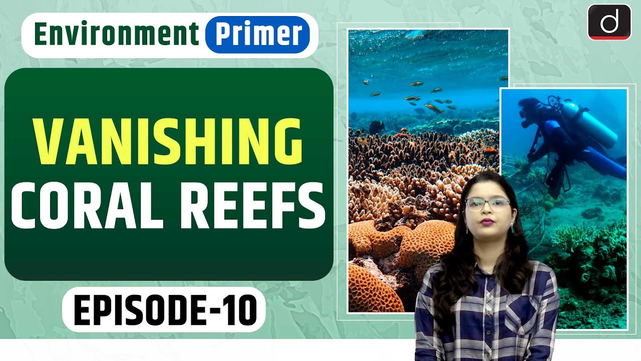 Vanishing Coral Reefs | Environment Primer | Drishti IAS English - YouTube
