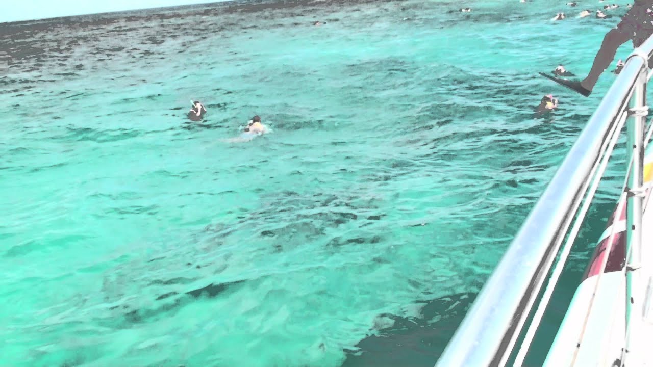 2009 03 10 MIAMI LOS CAYOS - YouTube