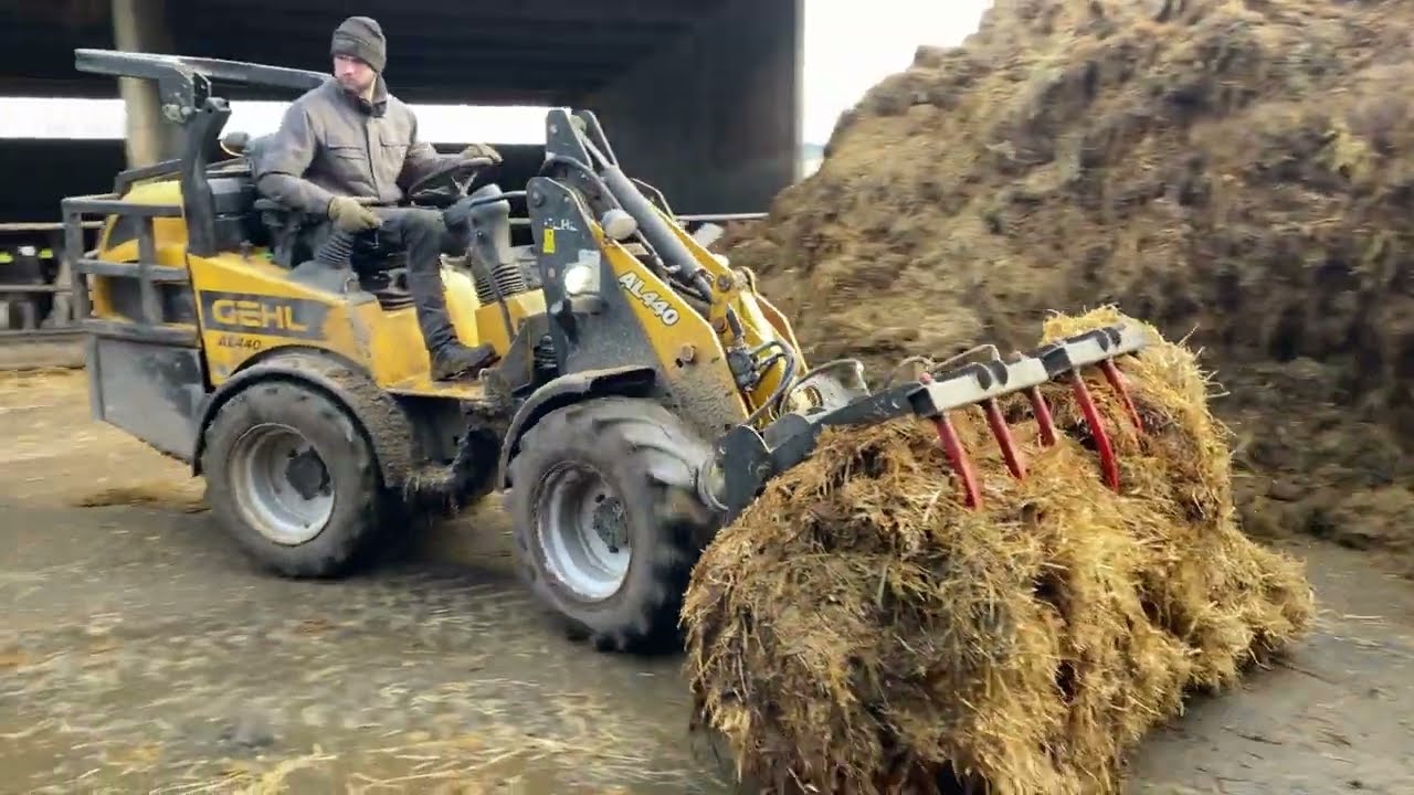 A Day on the Farm | What Type of Work Is Done on a Farm | Farm #withme ...