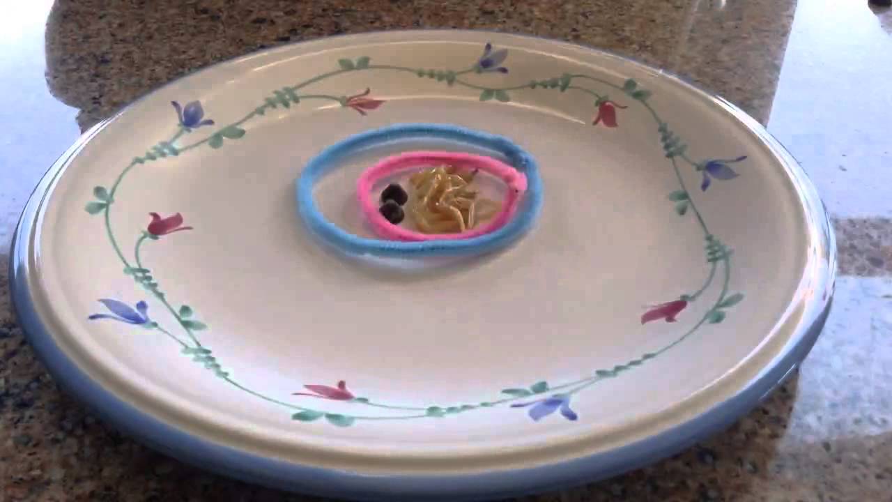 Mitosis - Kat Sierra, Sarah Pacania, and Eden Fritz - YouTube