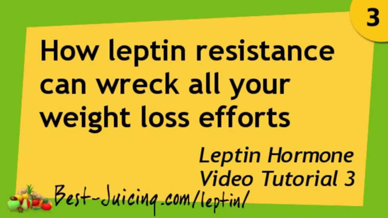 What Is Leptin Resistance? Leptin Hormone Video Tutorial 3 - YouTube