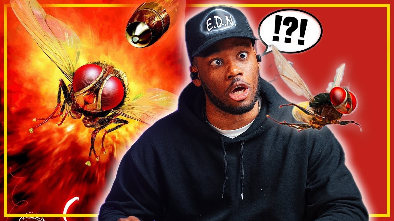 Eega Theatrical Trailer Reaction | SS Rajamouli “DID HE TURN INTO A FLY ...