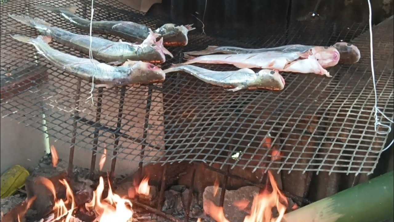 PERCUBAAN PERTAMA MENYALAI IKAN BURIS | AlysisSamat_Official - YouTube