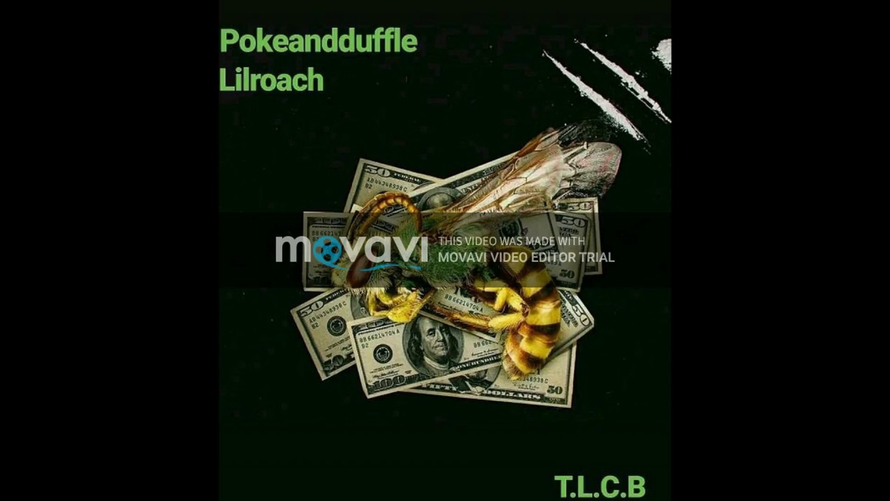 Lil Roach 1 Percent - YouTube