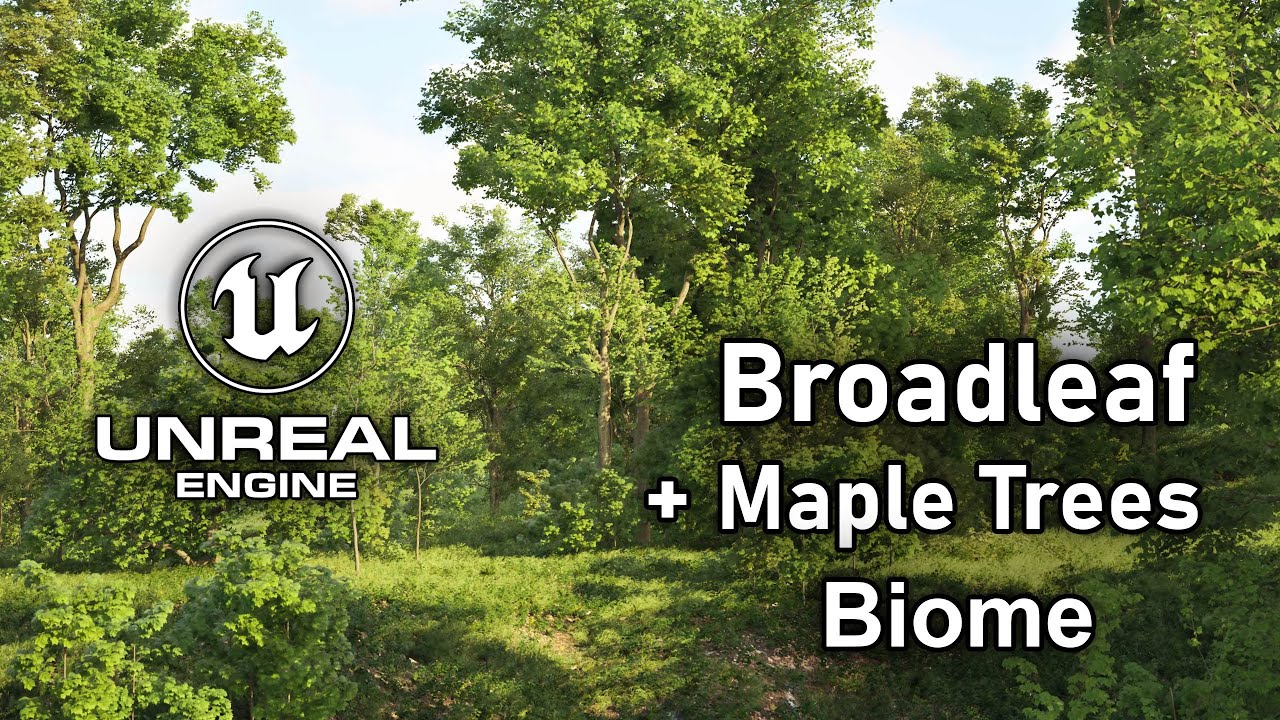 Broadleaf + Maple Trees Biome Cinematic 2025 | Ultra Realistic Wind | # ...