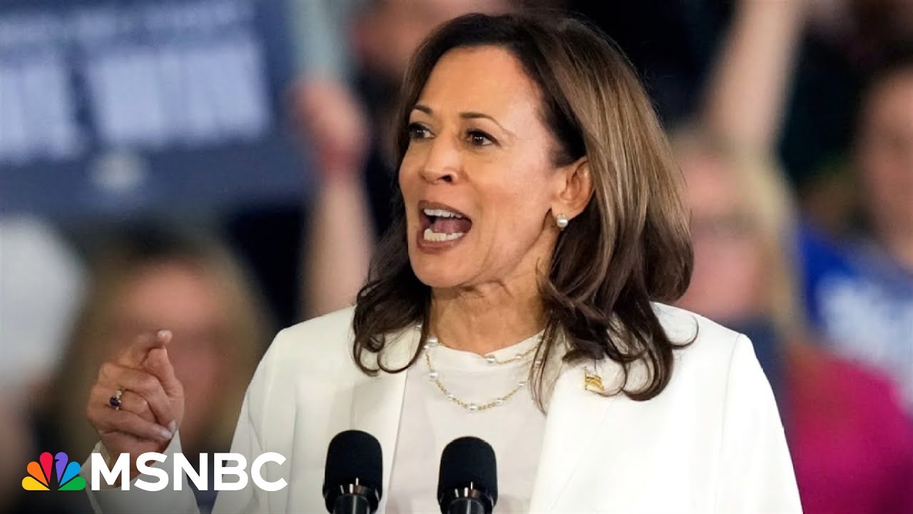 Harris campaign 'set up to have a really good fall' with all this ...