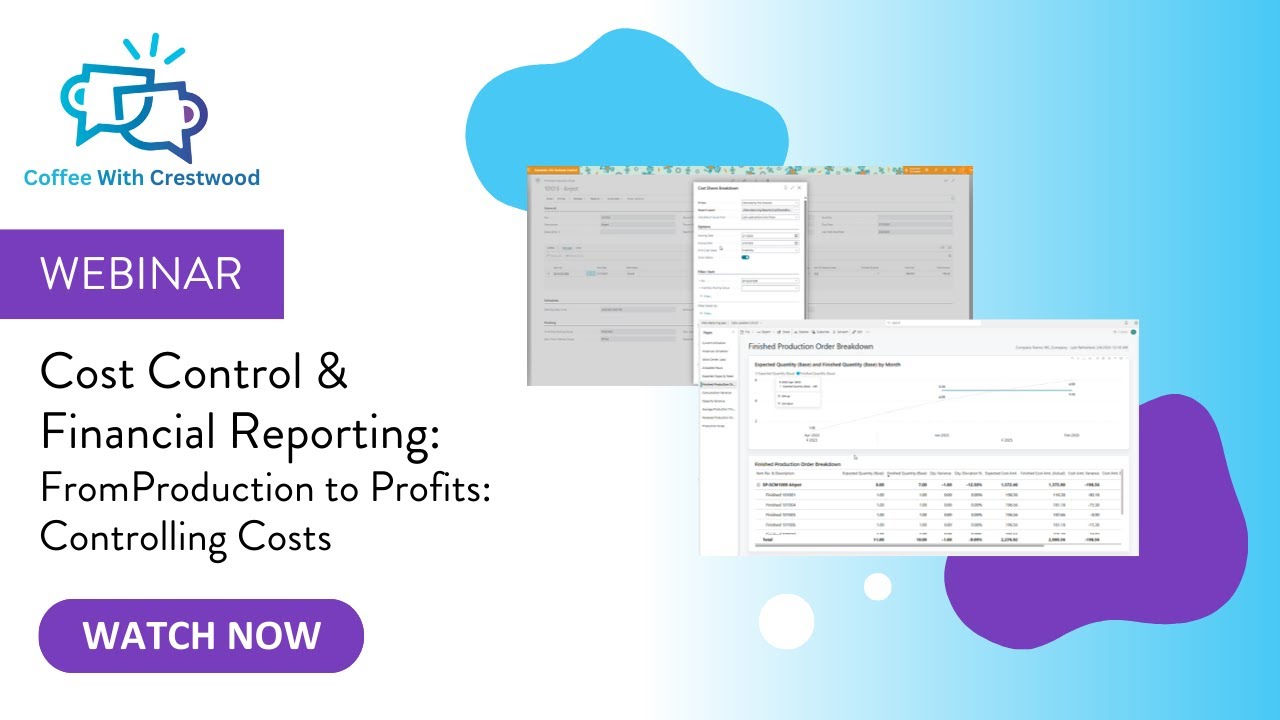 Cost Control & Financial Reporting: From Production to Profits ...
