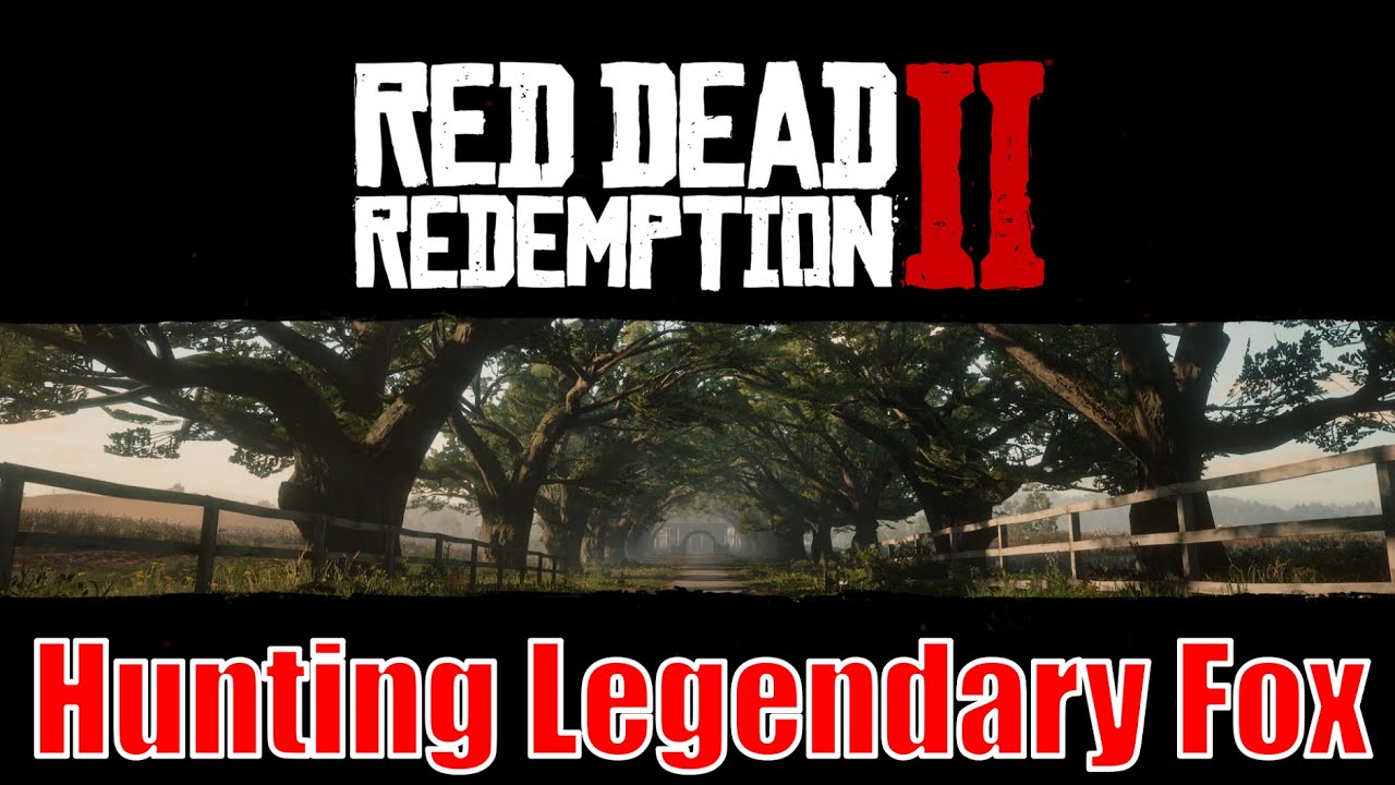 Hunting Legendary Fox RDR2 - YouTube