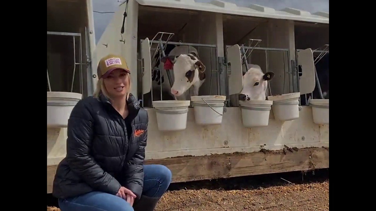 Tune In TODAY 1pm Mountain Time For The Colostrum Challenge Release