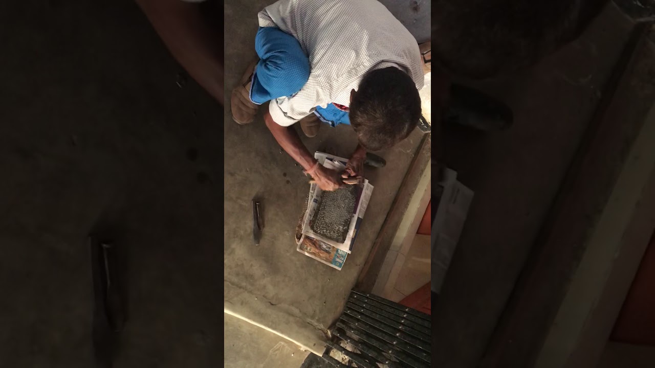 Sil nora katano - YouTube