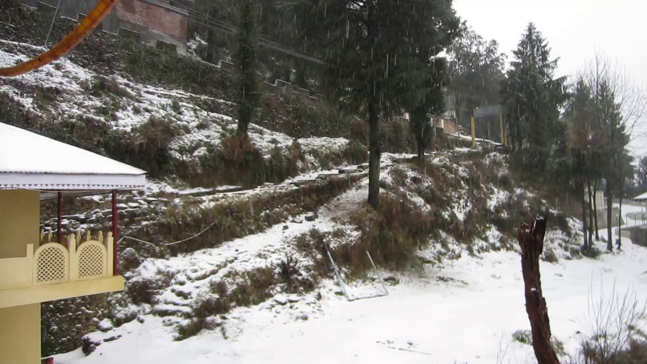 Dharamshala snowfall Feb - YouTube