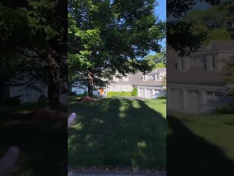 Huzur dolu evler Amerikan köyü