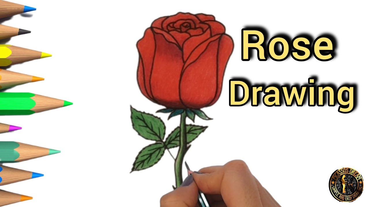Easy realistic rose drawing tutorial - YouTube