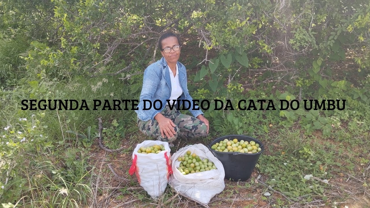 parte dois da panha do umbu - YouTube