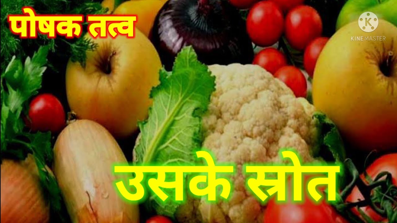 posak tatv avam uske srot/ पोषक तत्व एवं उनके स्रोत - YouTube