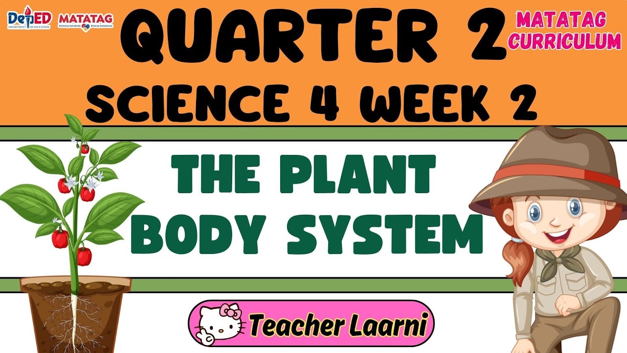 SCIENCE 4 QUARTER 2 WEEK 2 - REVISED K TO 12 CURRICULUM - YouTube