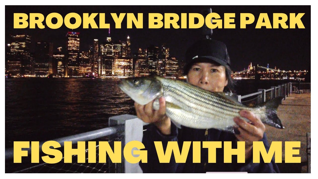 New York 2022 |Fishing With Me, Pier 5, Brooklyn, NY(Oct 16, Sun) - YouTube