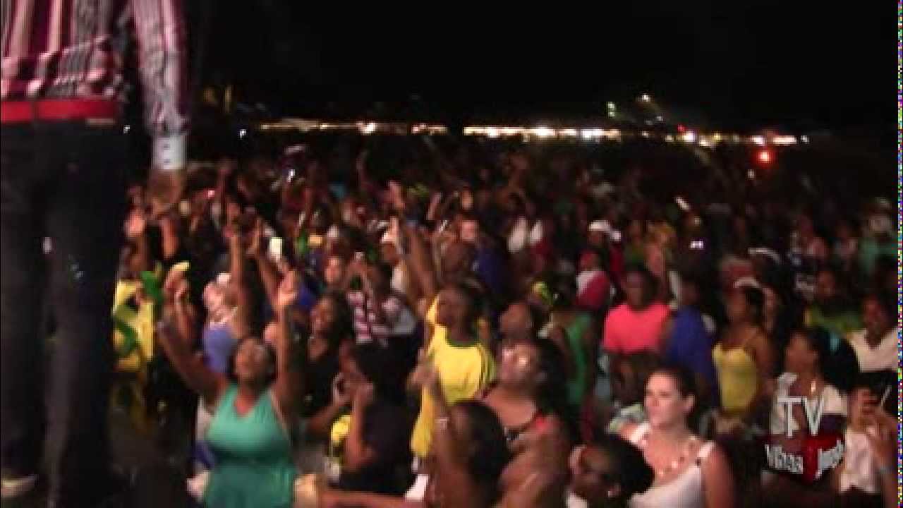 Wayne Wonder, Sanchez and Mr. Vegas LIVE @ The 2nd annual jerkfest ...