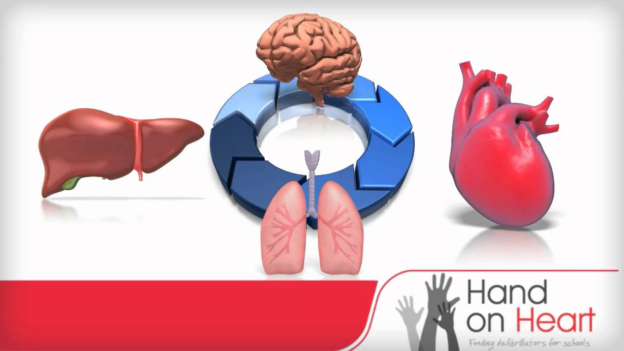 Will an AED always resuscitate someone? - YouTube