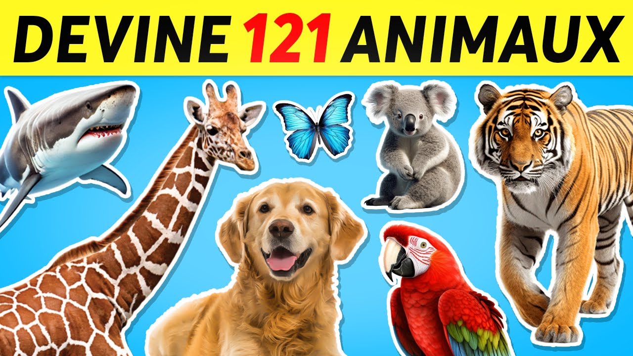 Devine 121 animaux en 3 secondes 🐯⏱️ | Facile, Moyen, Difficile, Impossible - YouTube