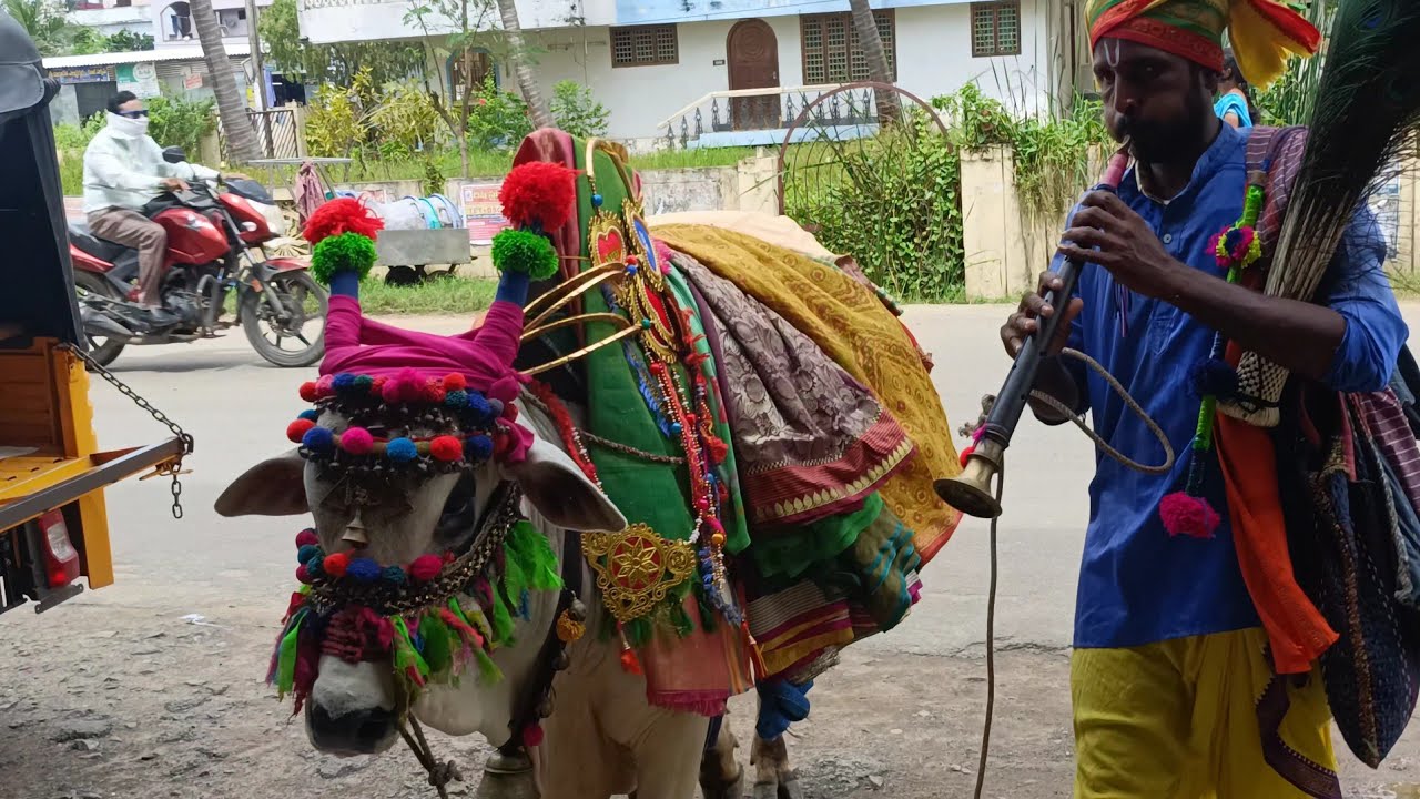 GhuGhu Natia South indian Traditional culture Andrapradesh Narsipatanam ...