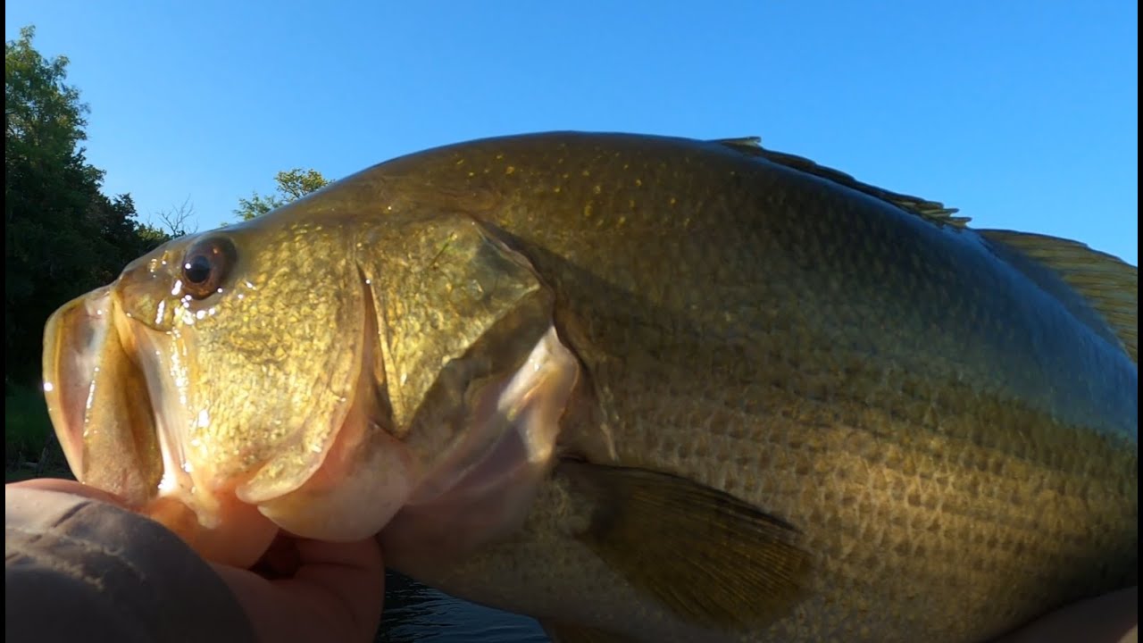 Extreme Texas Bass Fishing - YouTube