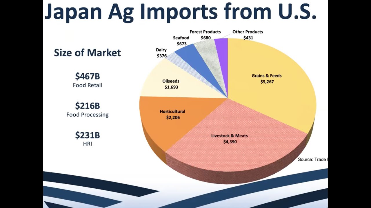 GlobalSF How to Export Food: Japan - YouTube