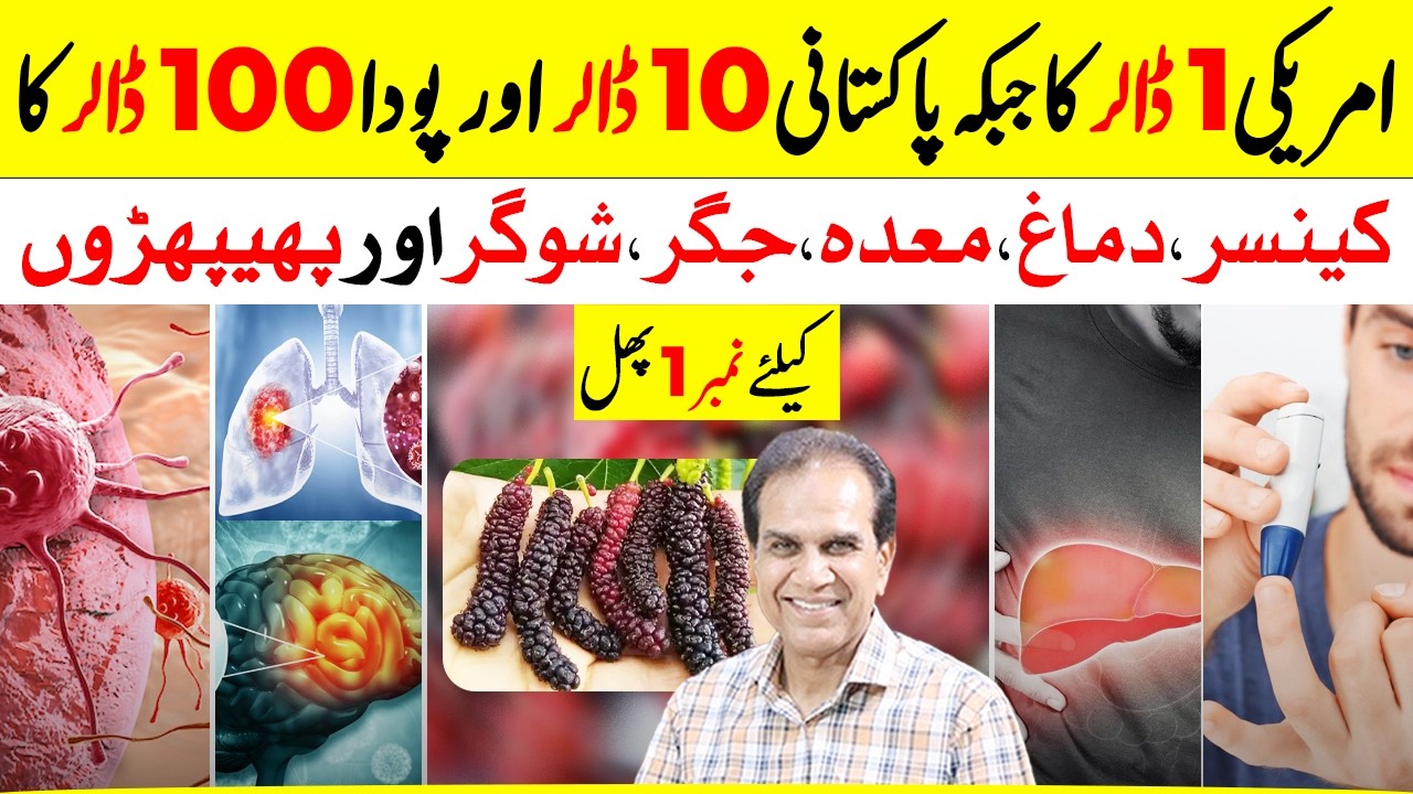 Number 1 Fruit for Cancer, Brain & More | Dr Shahzad Basra - YouTube