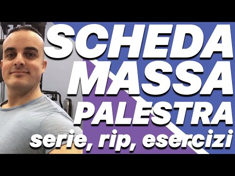 Scheda Massa Muscolare in Palestra in Multifrequenza: Esercizi, Serie, Ripetizioni e Piramidali