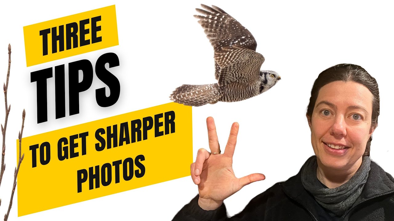 3 tips to get sharper photos - YouTube