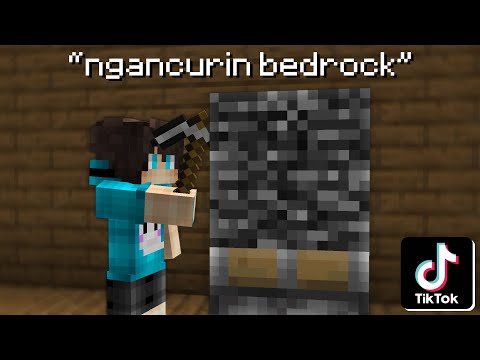 Minecraft TikTok Hack That Shouldn't Exist..
