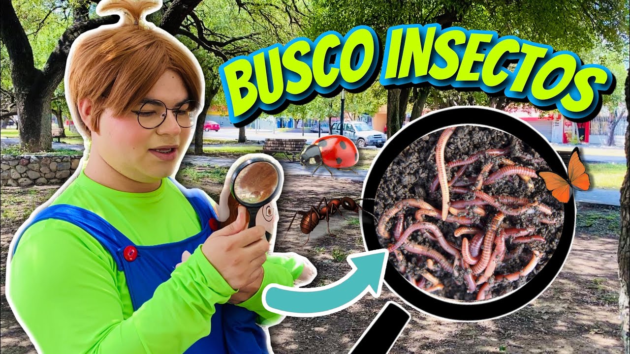 MEME TIENE PULGAS / BUSCANDO INSECTOS PELIGROSOS / ME PICA LA CABEZA ...