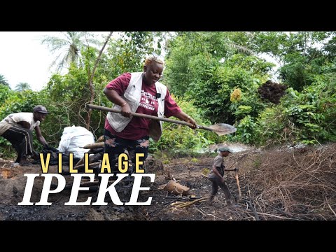 DÉCOUVERTE IPEKE : LE TRÉSOR DU MAÏ-NDOMBE QUE NOUS SOMMES EN TRAIN DE PERDRE. 