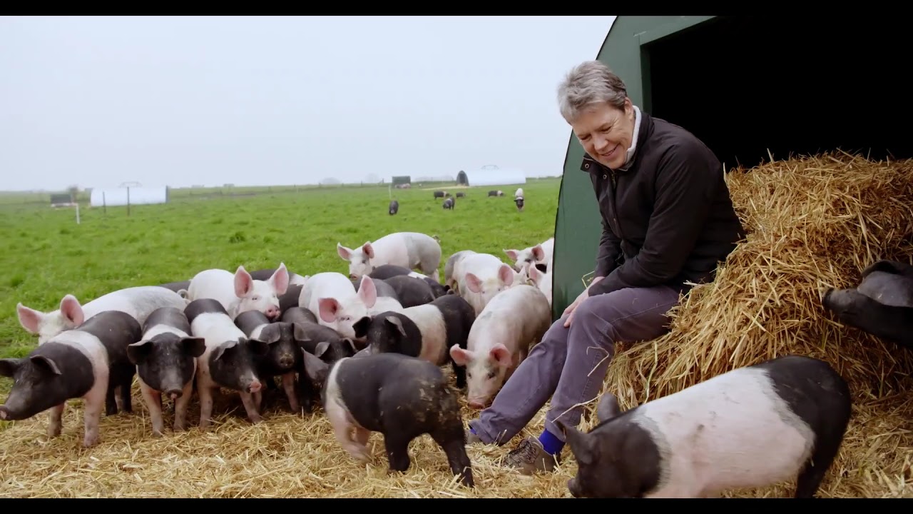 Organic Farming Animals