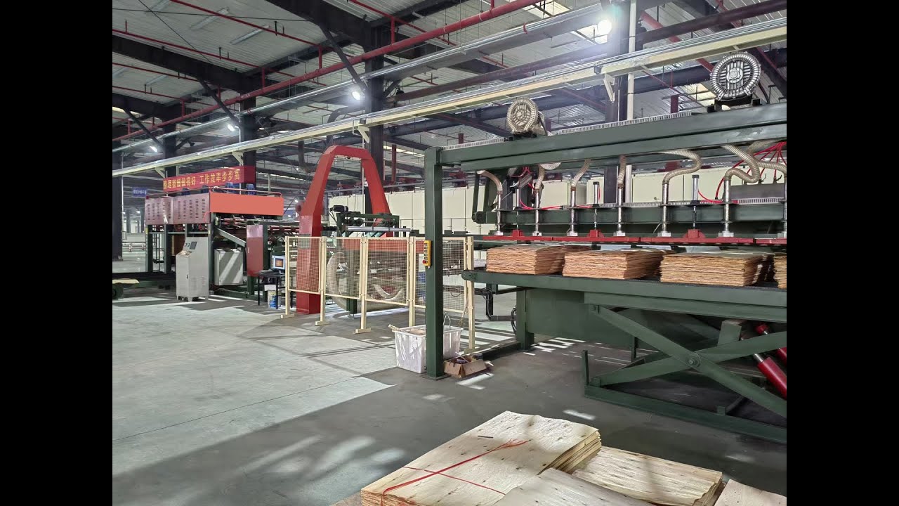 Automatic veneer grading line with veneer stacking - YouTube