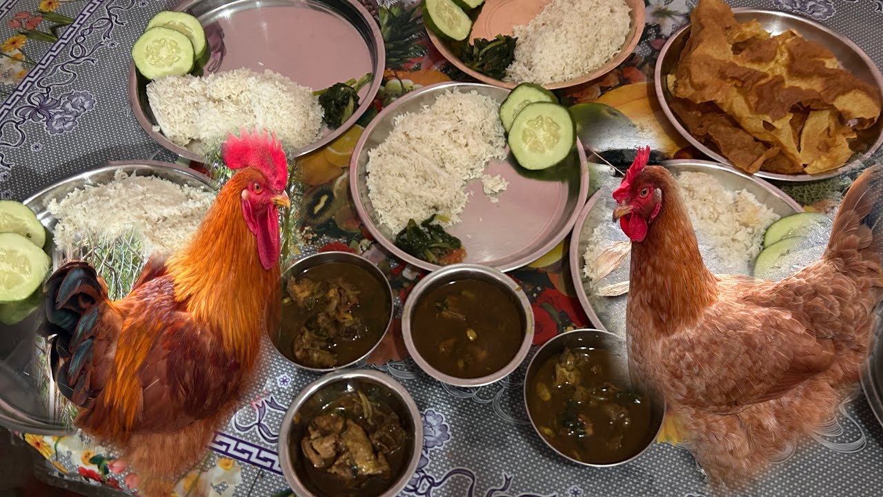 This is how to make local chicken meat - YouTube