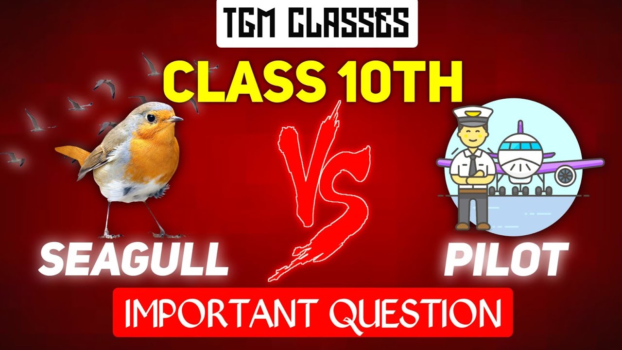 Seagull Vs Pilot/CBSE /Class 10 - YouTube