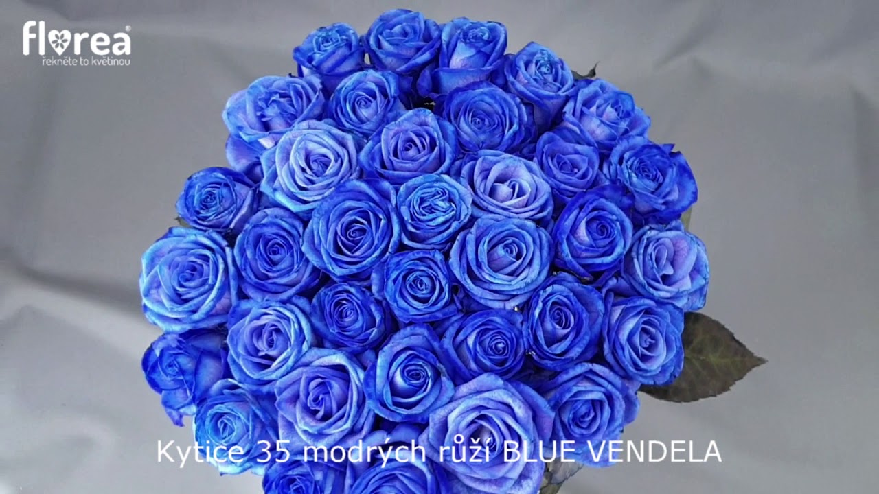 Kytice 35 modrých růží BLUE VENDELA - Florea.cz - YouTube