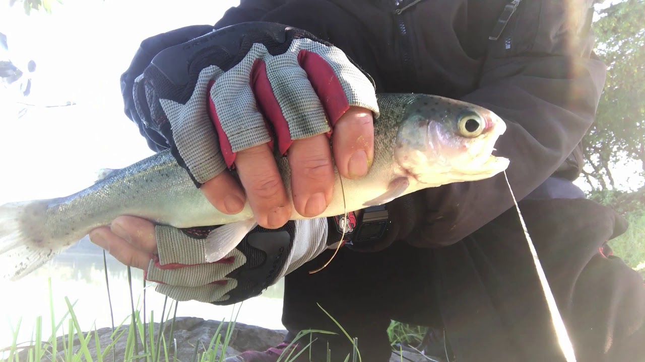 Trout Fishing at Lake Merced - 2/24/2020 - YouTube