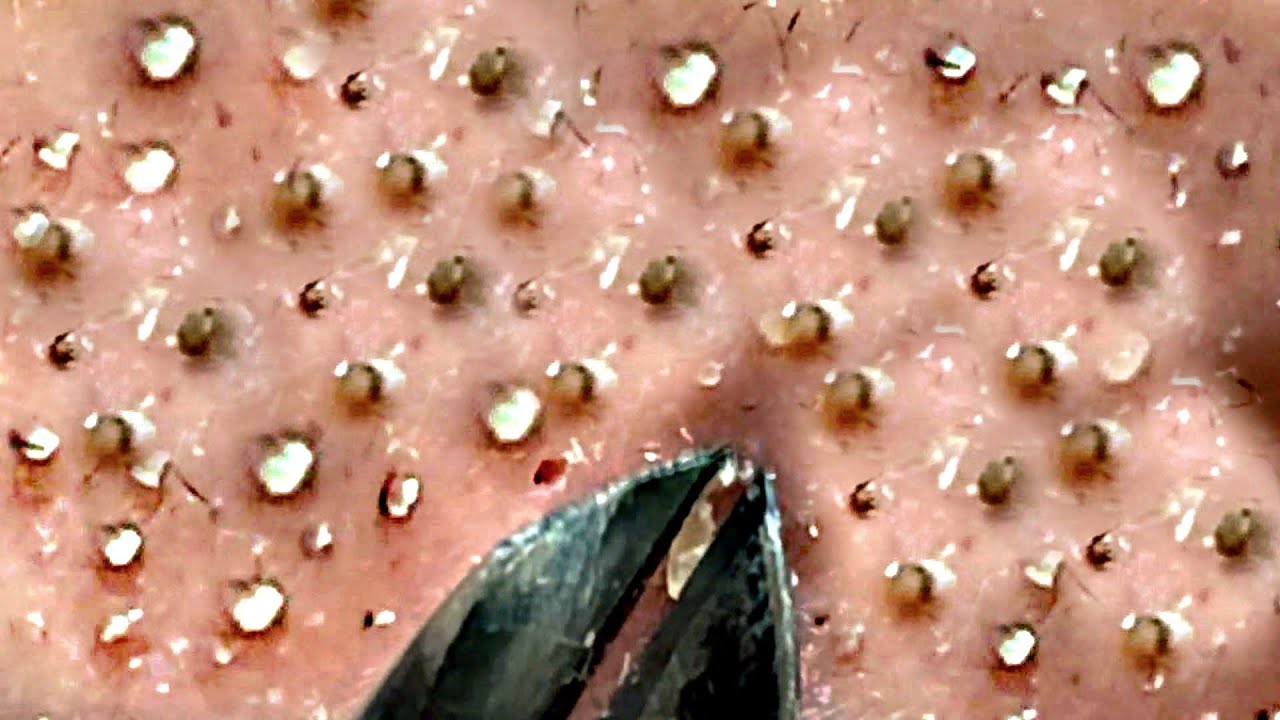 Make Your Day Satisfying with An Spa New Videos #02 - YouTube