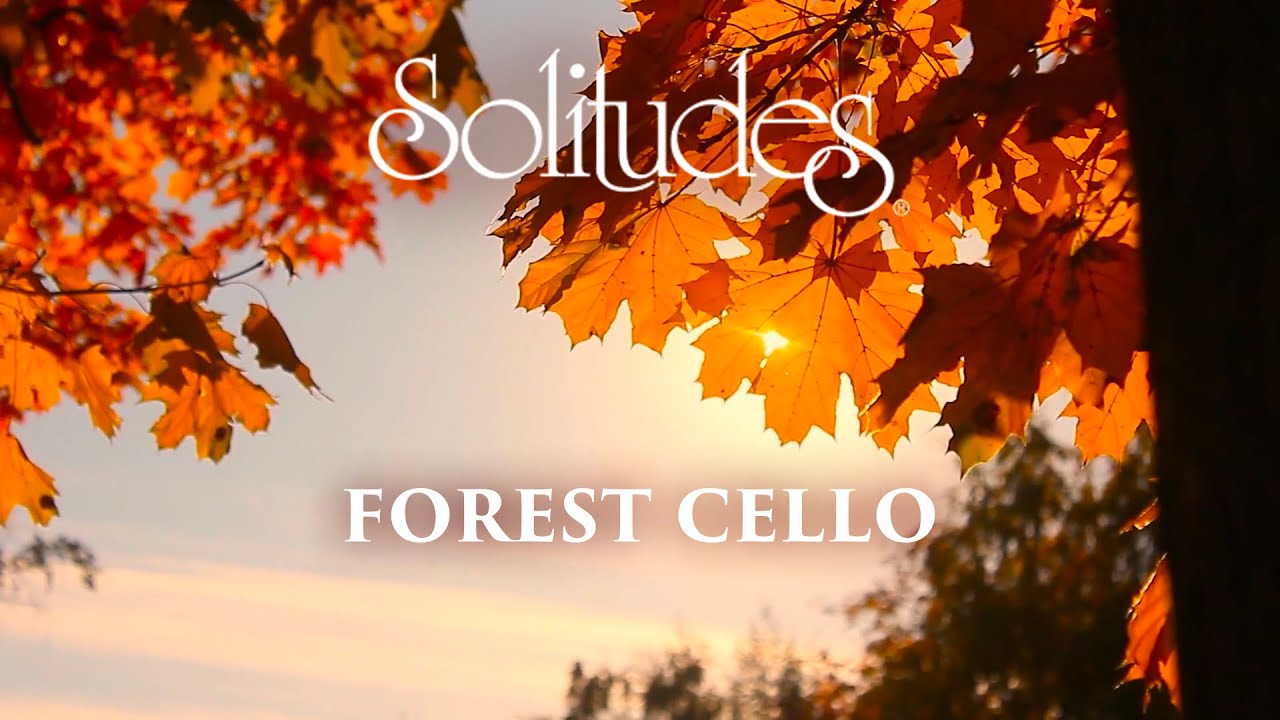 Dan Gibson’s Solitudes - Autumn Splendor | Forest Cello - YouTube