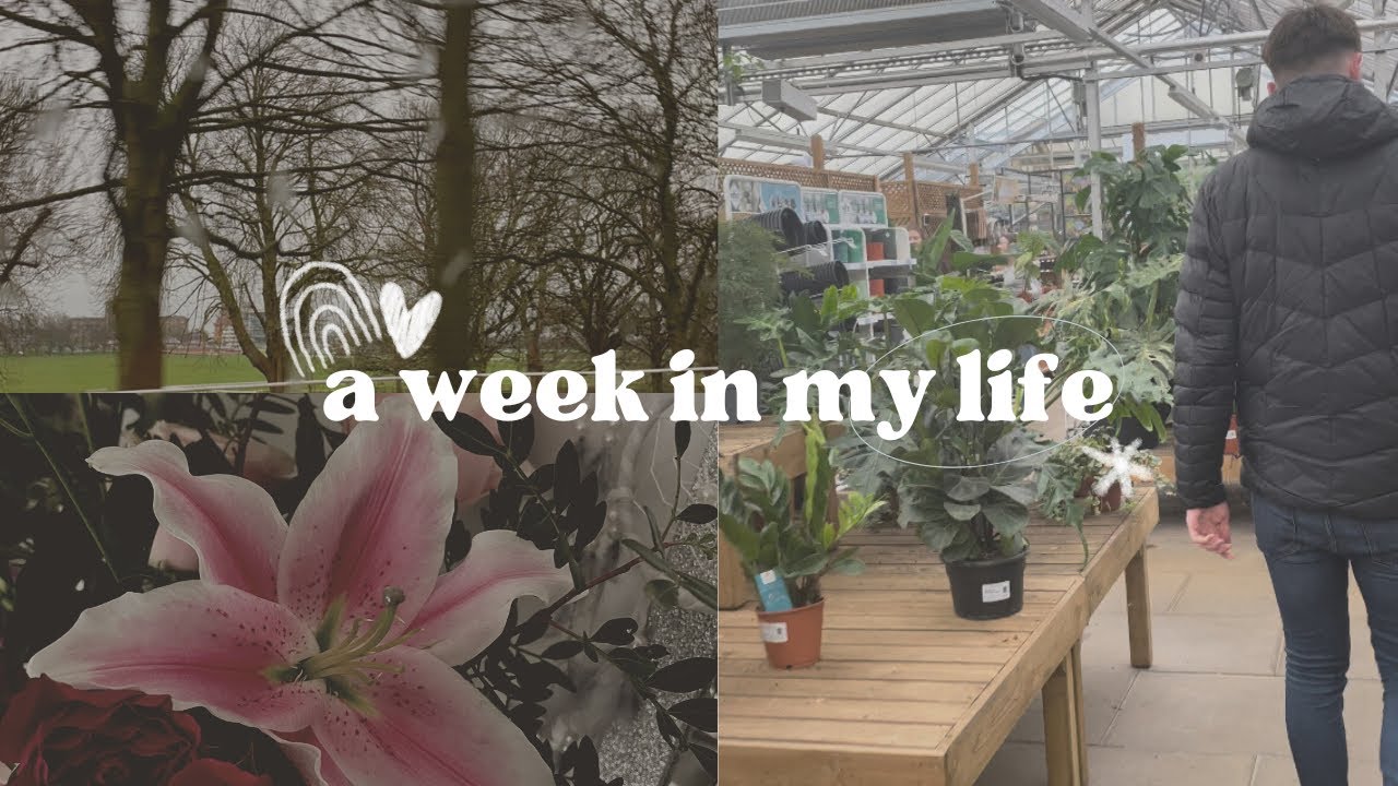 Another Week in the Life of A YSJ Student ️ - YouTube
