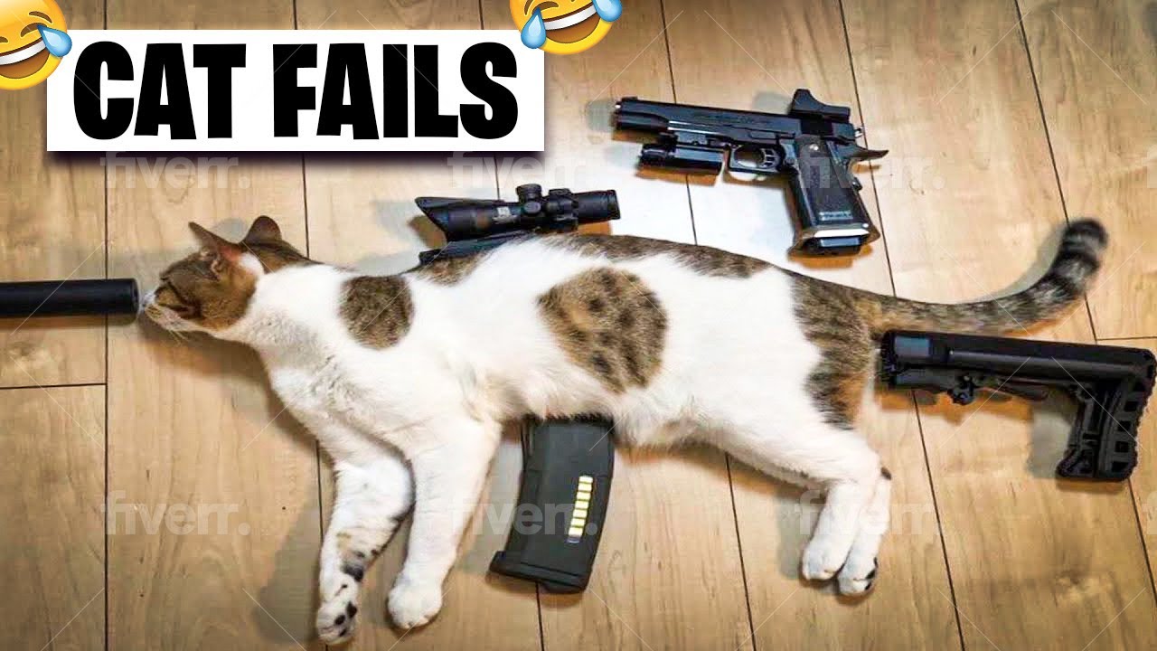 Epic Cat Fails: From Mischievous to Marvelous Mishaps - YouTube