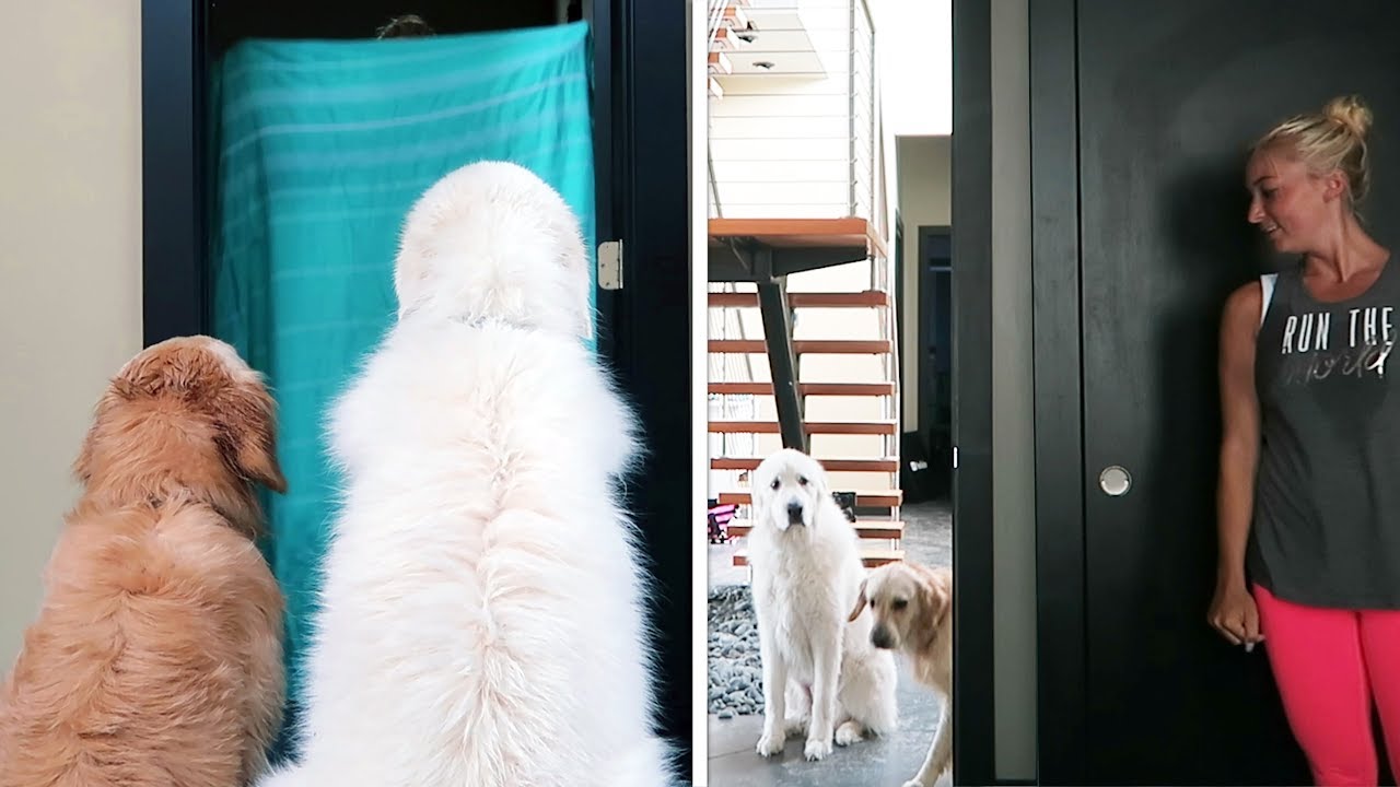 WHAT THE FLUFF CHALLENGE (Super Cooper Sunday #153) - YouTube