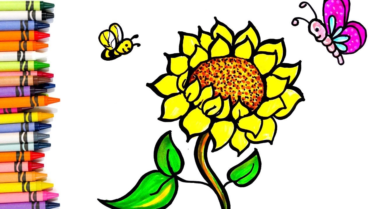 Sunflower Drawing, How to draw Sunflower step by step for kids ...